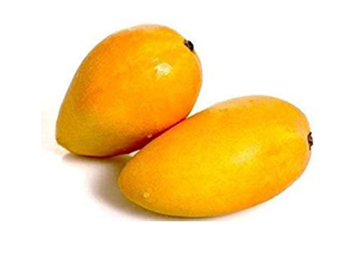 Chausa : The Mango Historical - RizzSport